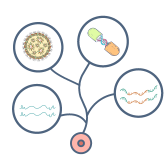 Therapeutic IVT RNA | 벡터빌더